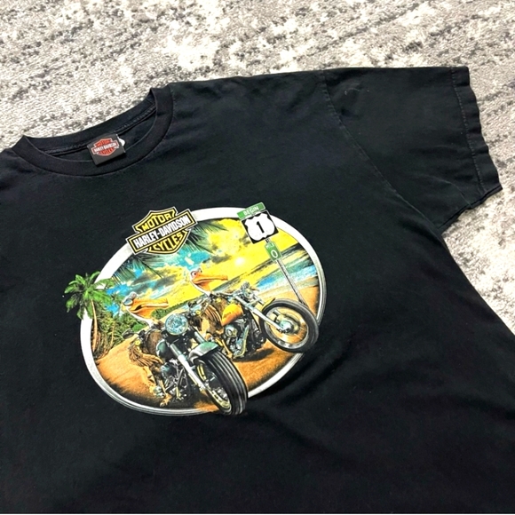 Harley-Davidson | Shirts | Harley Davidson Motorcycles Pelican Biker ...
